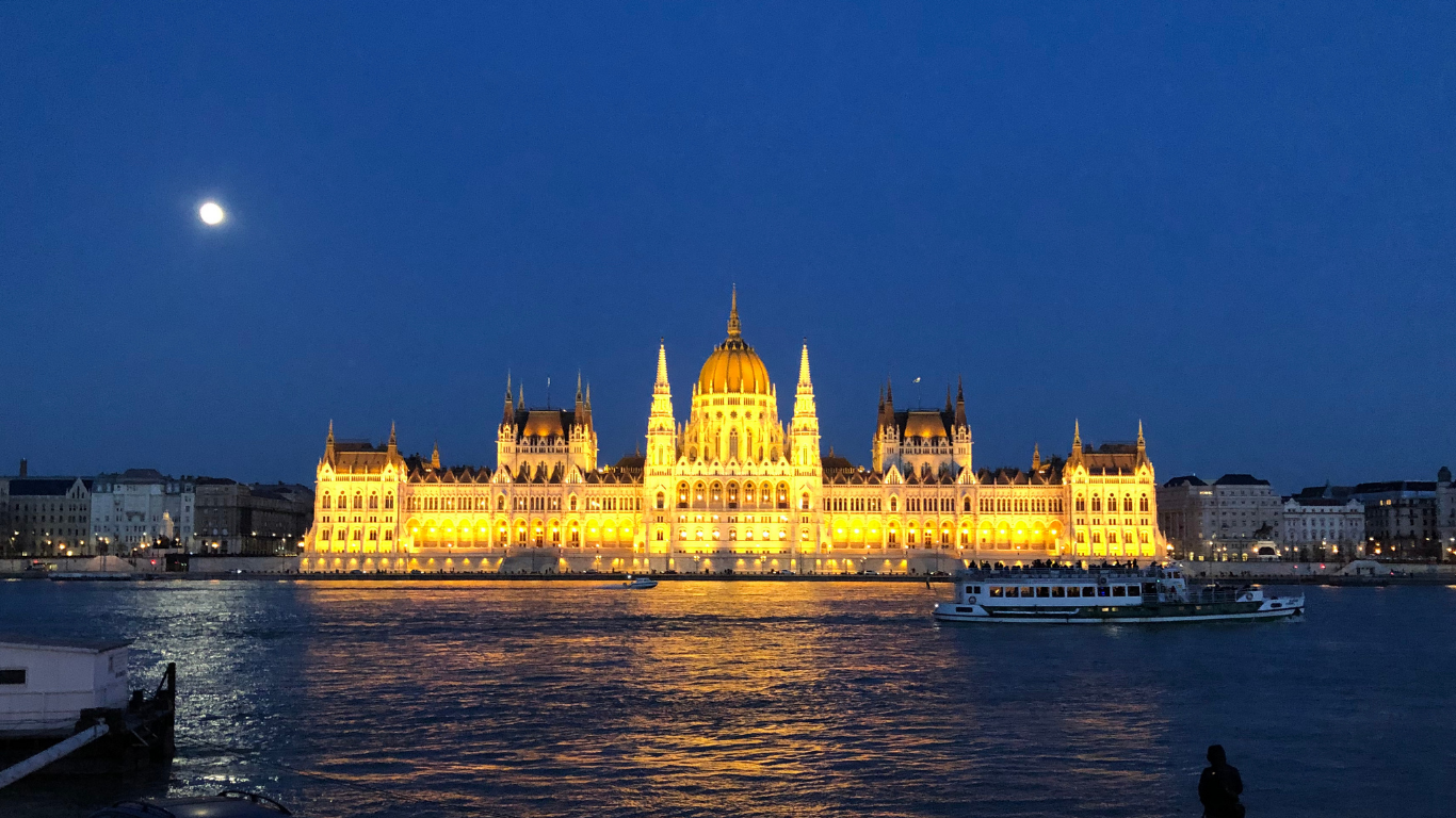 NPO法人 Red Look｜日本人の海外挑戦と外国人の日本就職をスキルでつなげる国際キャリア支援