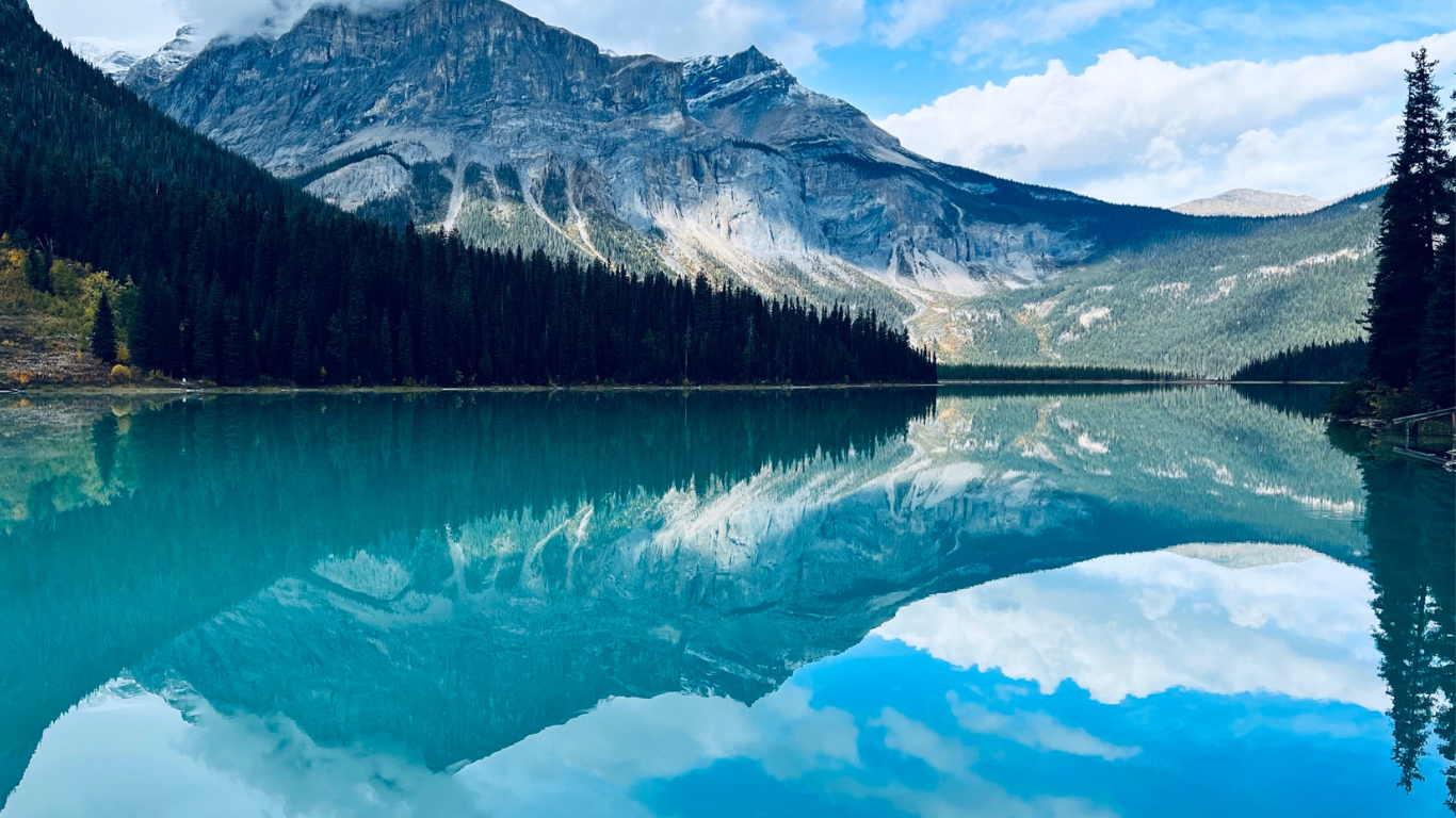 NPO Red Look | Bridging Skills for Global Careers in Japan and Abroad